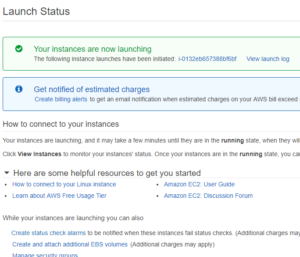 Apache, PHP, and MySQL on AWS – Duplicate Transaction
